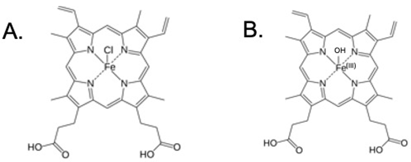 volumen 33 número especial
