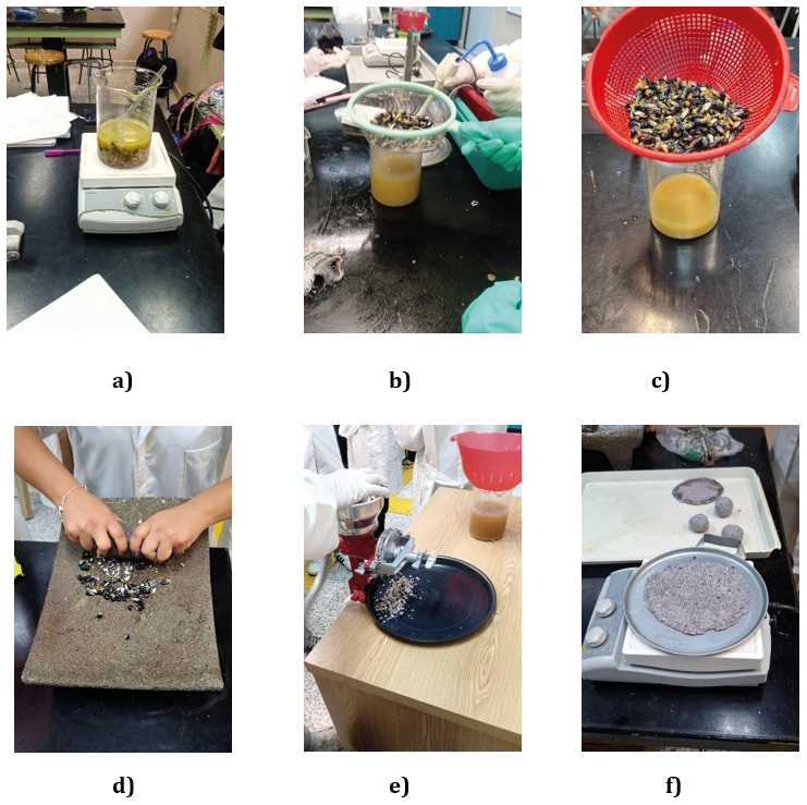 volumen 36, número especial